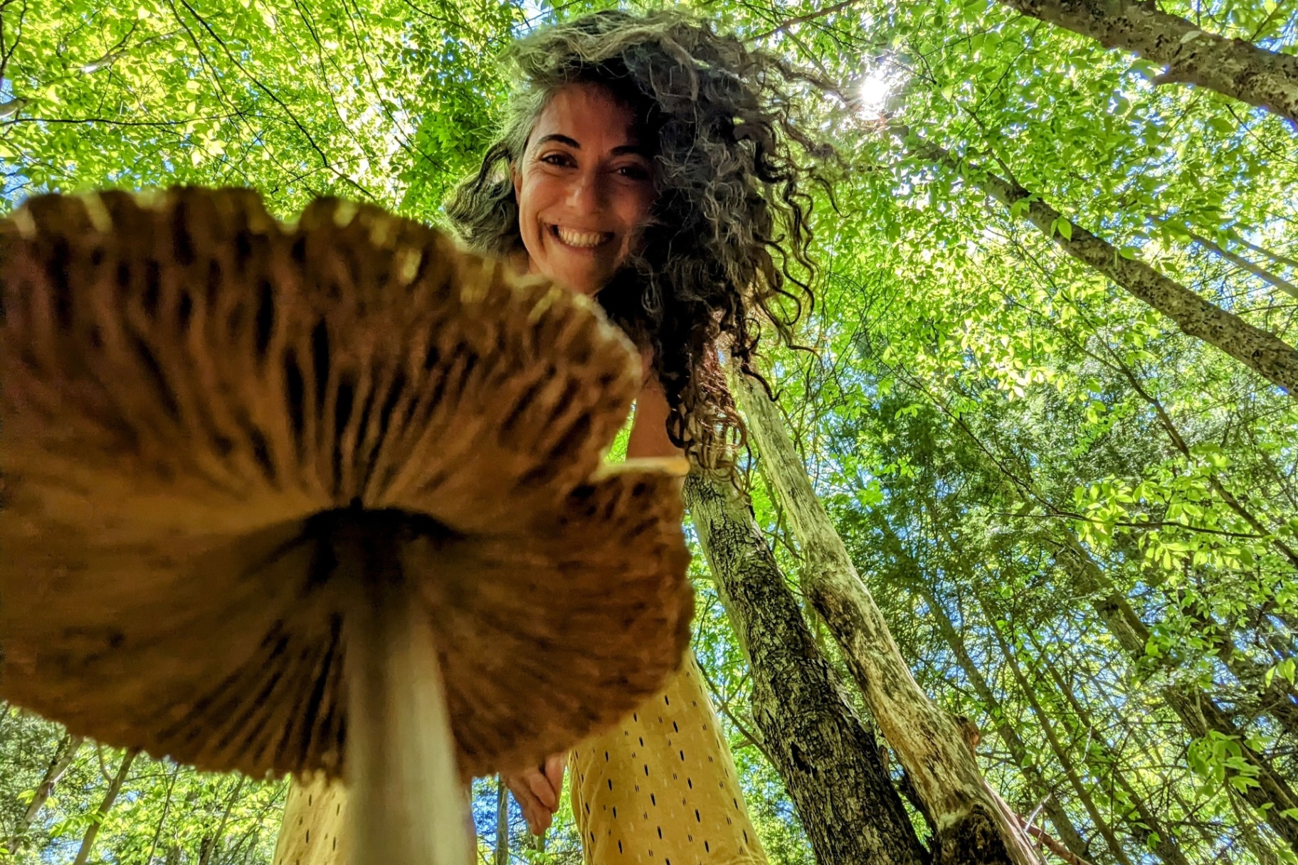 AKERA | Catskills Retreat Center & Creative Sanctuary